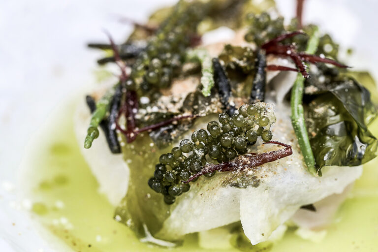 Moai caviar - the vegan alternative to traditional fish roe